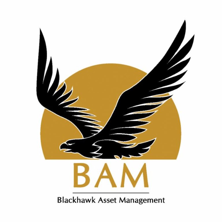 Introducing BAM ... Blackhawk Asset Management